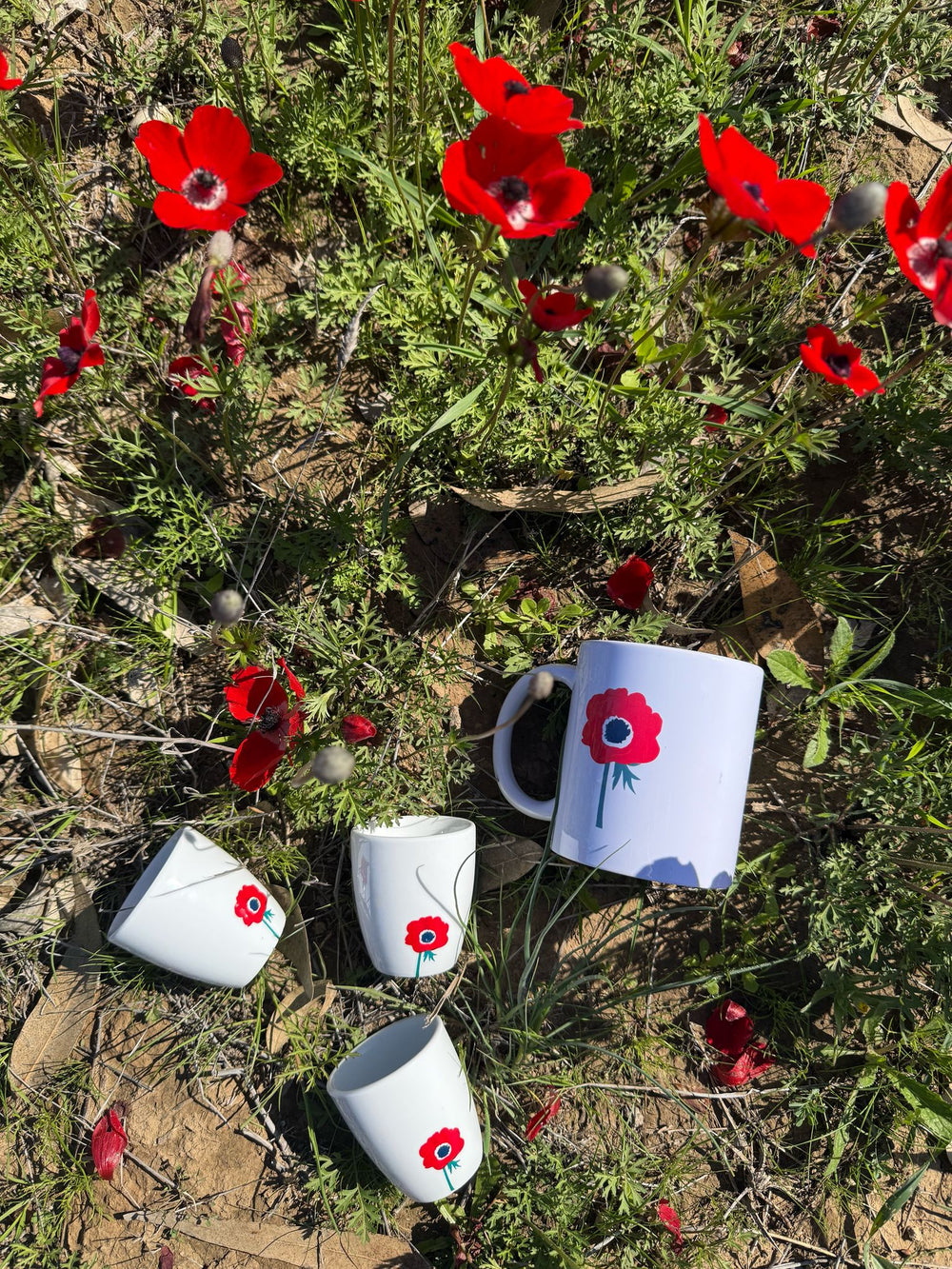 קטלוגים – Cafe otef